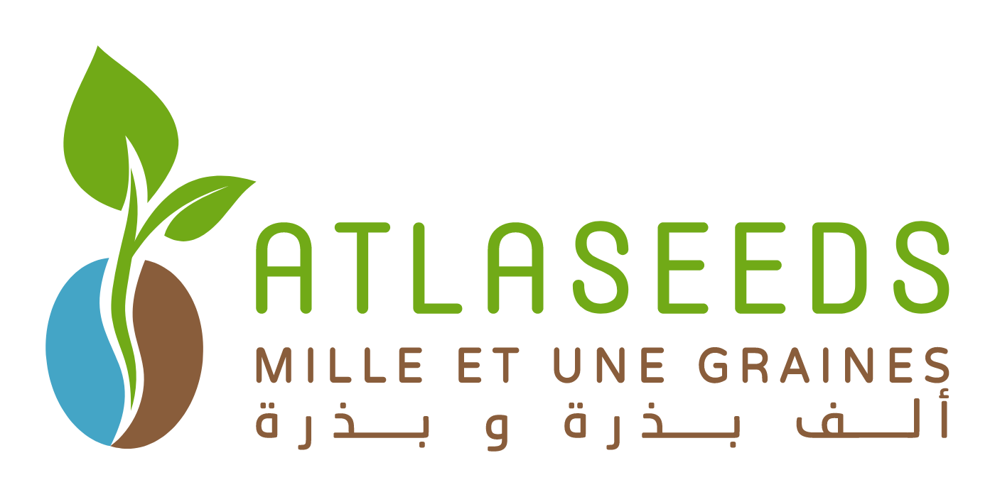 Semences de gazon de bonne qualité – ATLASEEDS أطلس للبذور